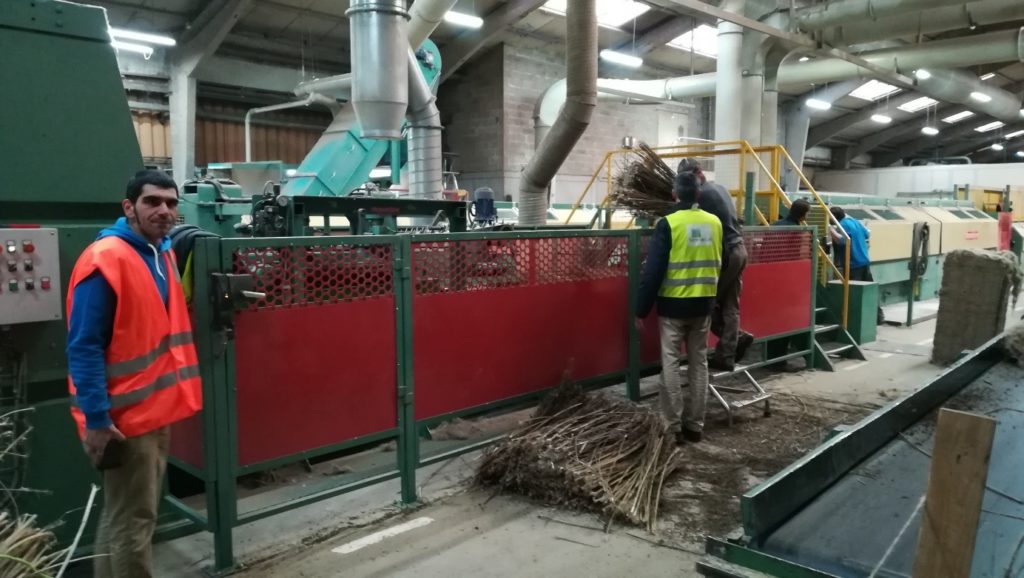 SSUCHY HEMP processing: from plants to aligned fibres - SSUCHY